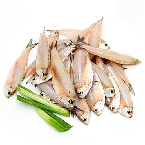 Buy Fresho Anchovy Fish 500 gm Tray Online at Best Price. of Rs null ...