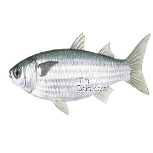 Buy fresho! Mullet Fish (Large) - Steak/Slice Online at Best Price of ...
