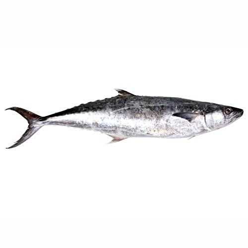 Buy fresho! Seer Fish (Large) - Boneless Cubes/Finger Cut Online at ...