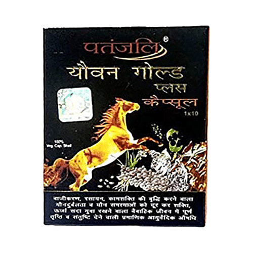 Buy Patanjali Ayurveda Patanjali Ayurveda Youvan Gold Plus Vegetarian ...