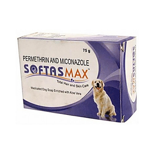 Buy Intas Intas Softas Max Medicated Dog Soap Online at Best Price of ...