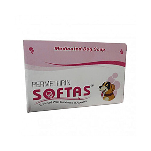Buy Intas Softas Medicated Dog Soap Online at Best Price of Rs 55 ...