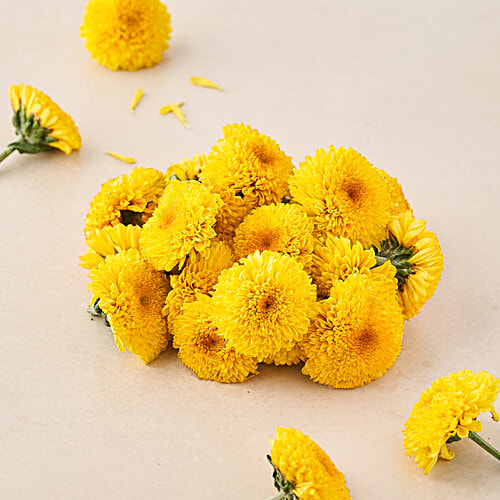Buy Fresho Chrysanthemum 100 Gm Online At Best Price of Rs 20.8 - bigbasket