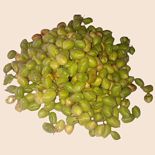 Buy fresho! Hari boot Online at Best Price of Rs 35.72 - bigbasket