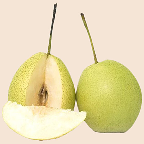 Buy Fresho Pear Nakh Indian 500 Gm Online at the Best Price of Rs 38.76 ...