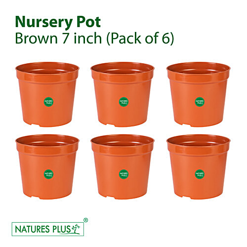 Buy Kr Nursery Pot Brown Pack Of 6 Open Dia 17 Cm Bottom Dia 135 Cm ...