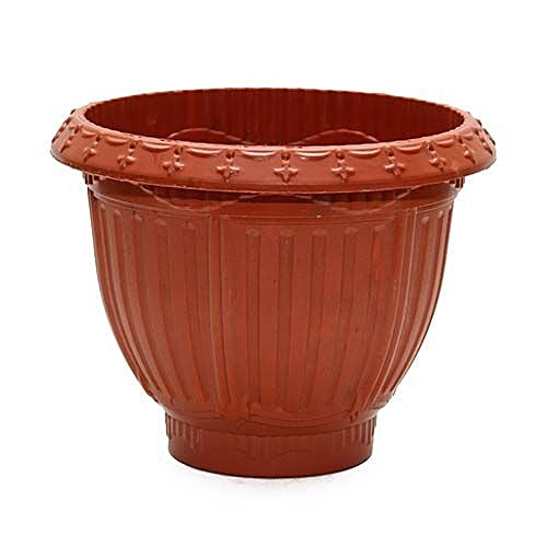 Buy Kr Royal Planter Online at Best Price of Rs null - bigbasket