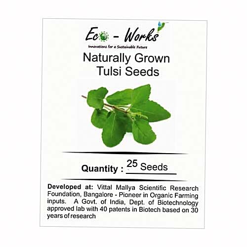 Buy Eco Naturally Grown - Tulsi Seeds Online at Best Price of Rs 60 ...