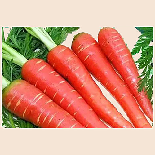 Buy fresho! Carrot - Organically Grown, Red Online at Best Price of Rs ...