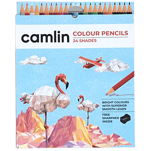 Buy Camlin Colour Pencil Full Size 24 Shades 1 Pc Online at the Best ...