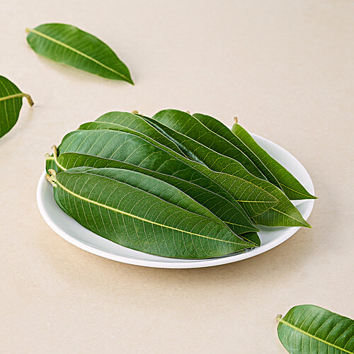 Buy fresho! Mango Leaves Online at Best Price of Rs 27.2 - bigbasket