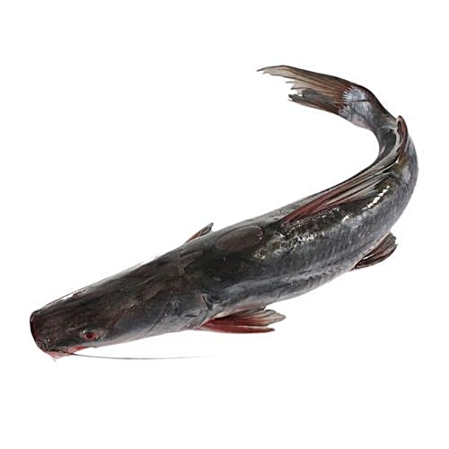 Buy fresho! Aar Fish/Singada Curry Cut Online at Best Price of Rs 379 ...
