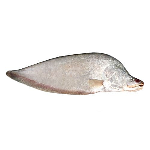 Buy fresho! Foloi Fish Whole Cleaned Online at Best Price of Rs 142 ...