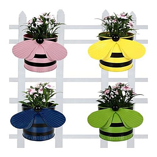 Buy Trust Basket Bee Planter Light Pink Yellow Blue Green 4 Pcs Online ...