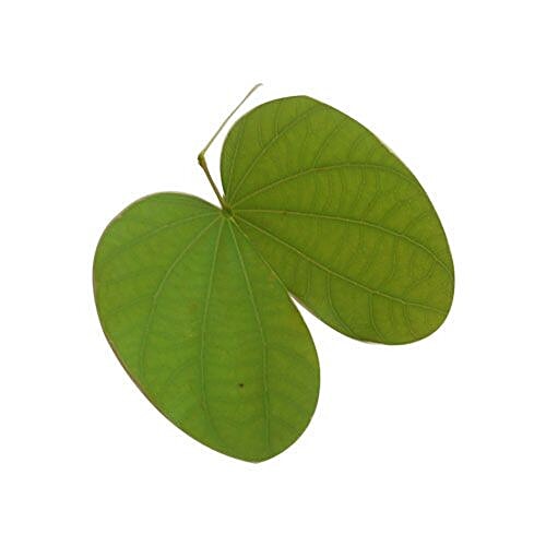 Buy fresho! Aptyachi Pane - Dashera Special Online at Best Price of Rs ...