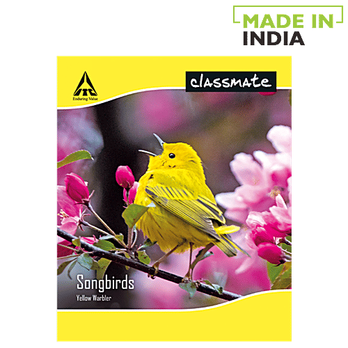 Buy Classmate Notebook - Unruled, 190 mm x 155 mm, Small, 172 Pages ...