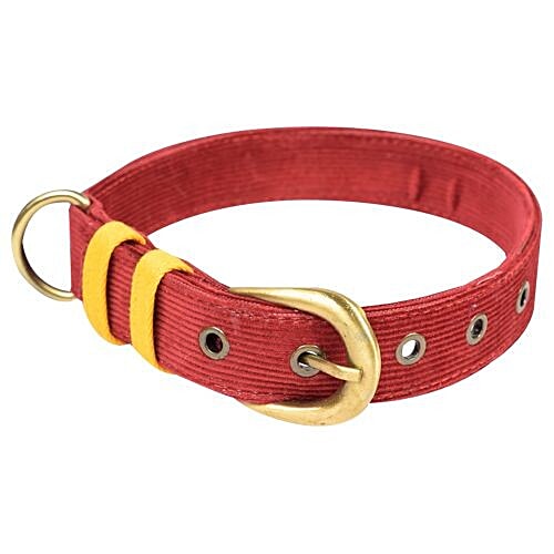 Buy PETWALE Dark Red Belt Collar - Medium Online at Best Price of Rs ...