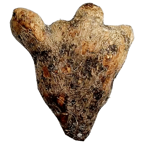 Buy fresho! Chupri Alu Online at Best Price of Rs null - bigbasket