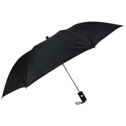 Buy Fendo 2 Fold Umbrella - Auto Open, 53 cm, Black Online at Best ...