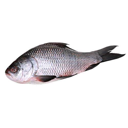Buy fresho! Catla Fish With Head & Tail, Whole Cleaned & Cut Online at ...