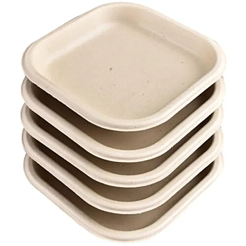 Buy Chuk Disposable Snack Plate - 18 cm Online at Best Price of Rs 139 ...