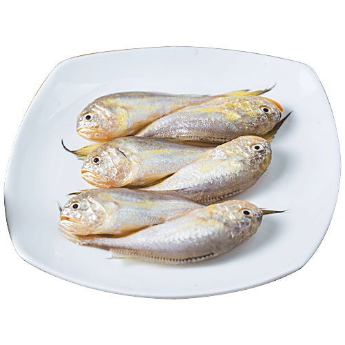 Buy fresho! Ayre Fish Whole-Large-B Online at Best Price of Rs 452 ...