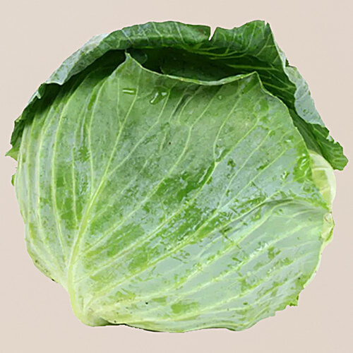 Buy fresho! Cabbage - Small Online at Best Price of Rs 38.76 - bigbasket