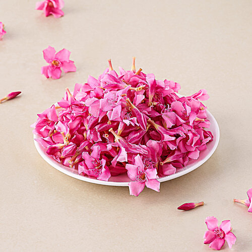 Buy Hoovu Fresh kanagale/Oleander Online at Best Price of Rs 124.1 ...
