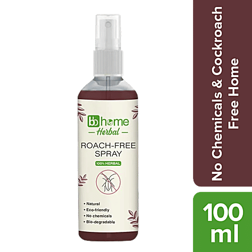 Buy bb home Herbal Cockroach Insect Repellent Spray Online at Best ...