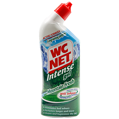 Buy Wc Net Intense Gel Mountain Fresh Online at Best Price of Rs null - bigbasket