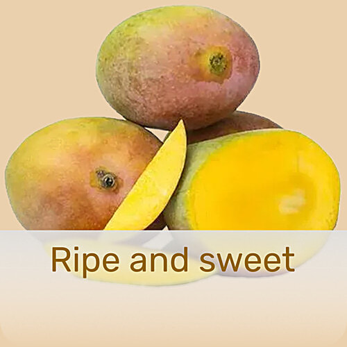 Buy fresho! Mango - Sindhura Lalbagh Online at Best Price of Rs 50 ...