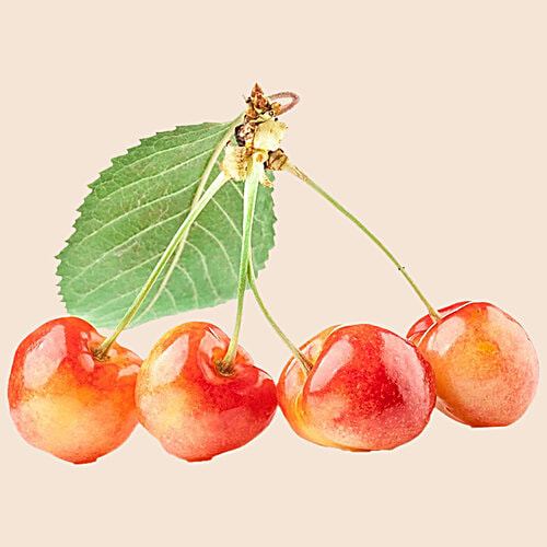 Buy fresho! Kashmir Cherry Online at Best Price of Rs 317.6 - bigbasket