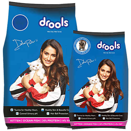 Buy Drools Dry Cat/Kitten Food - For Healthy Skin & Beautiful Coat ...