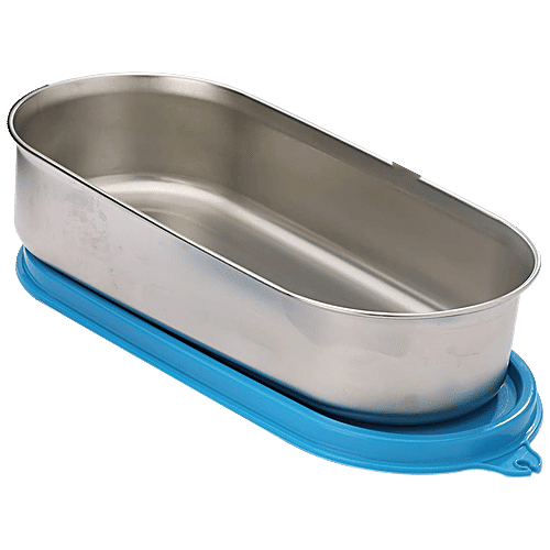 Buy Signoraware Oval Steel Container With Lid - High Quality, Blue ...