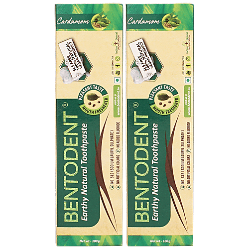 Buy Bentodent Earthy Natural Toothpaste - Cardamom, Vegan, SLS Free ...