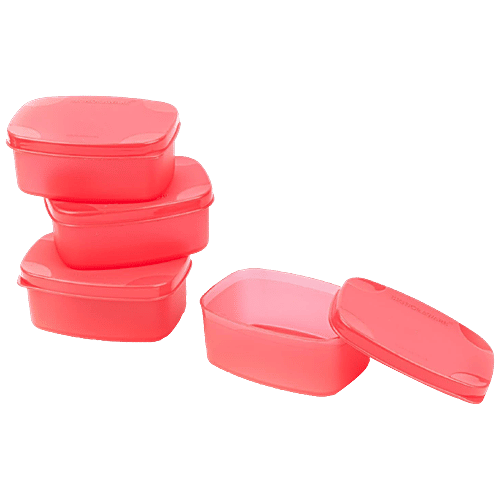 Buy Signoraware Cute Plastic Container Set - Red, Rectangular, Food ...