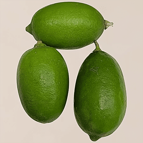 Buy fresho! Gandharaj Lemon Online at Best Price of Rs 695.1 - bigbasket