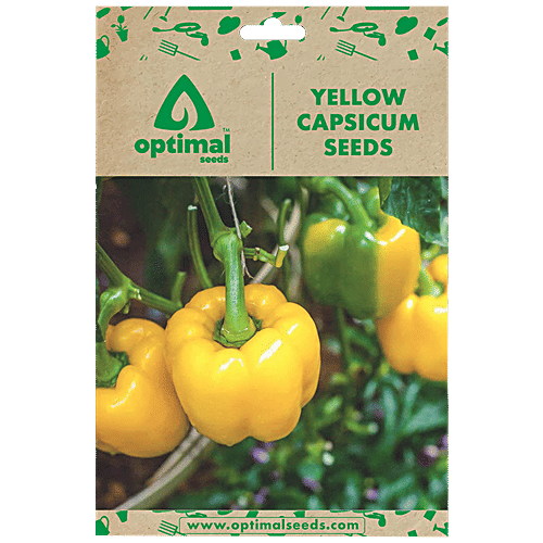 Buy Optimal Seeds Yellow Capsicum Vegetable Seeds Online at Best Price ...