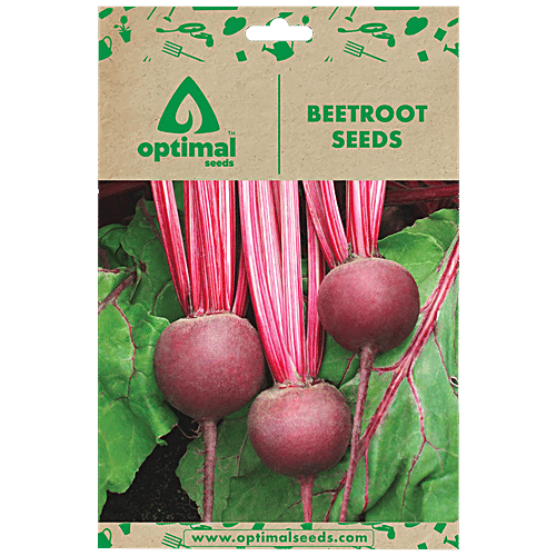 Buy Optimal Seeds Beetroot Vegetable Seeds Online at Best Price of Rs ...