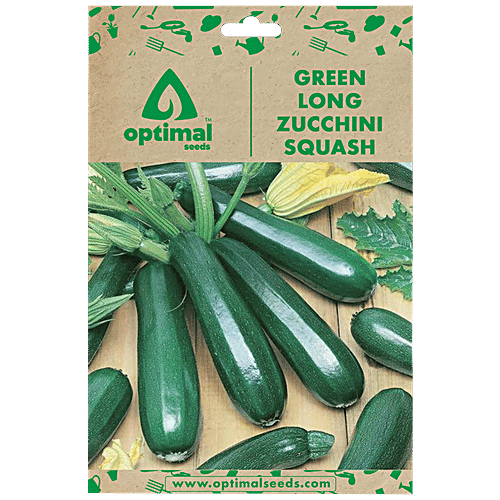 Buy Optimal Seeds Green Long Zucchini Squash Vegetable Seeds Online at ...