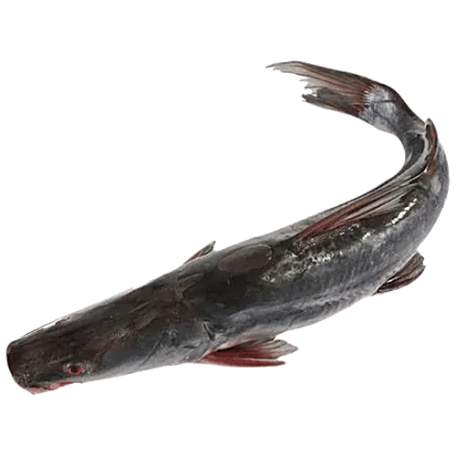 Buy fresho! Aar Fish Online at Best Price of Rs 900 - bigbasket