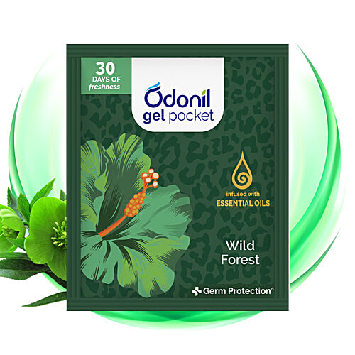 Buy Odonil Wild Forest Gel Pocket Online at Best Price of Rs 51 - bigbasket