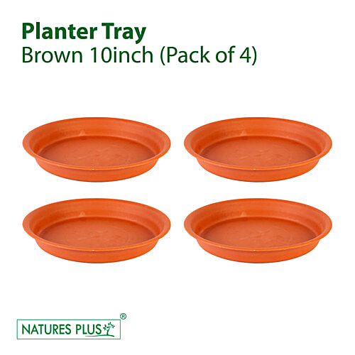 Buy Natures Plus Planter Tray 100 - Brown, Durable, Longlasting Online ...