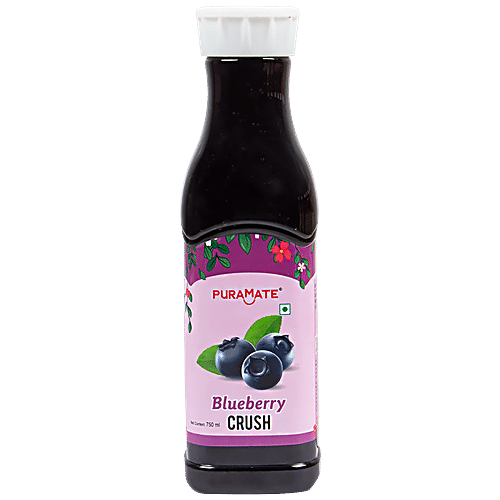 Buy Puramate Blueberry Crush For Perfect Drink - 100% Vegetarian Online ...