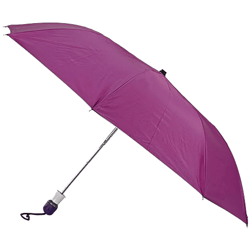 Buy Creative Space Umbrella - 53 cm, 2 Fold, Auto Open, Compact, Purple ...
