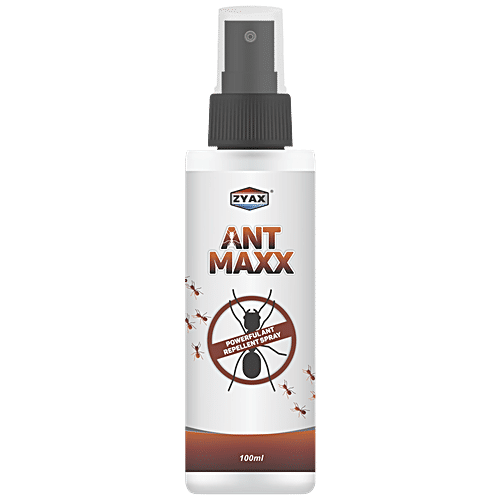 Buy Zyax Ant Maxx Ant Repellent Spray Online at Best Price of Rs 499 ...
