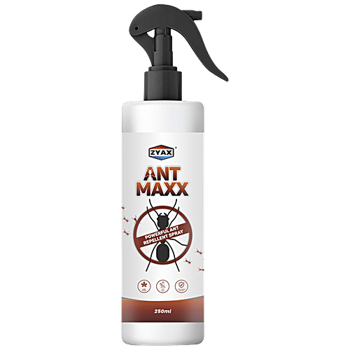 Buy Zyax Ant Maxx Ant Repellent Spray Online at Best Price of Rs 559.3 ...