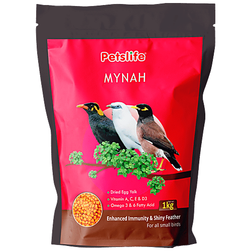 Buy Petslife Mynah Bird Food Online at Best Price of Rs null - bigbasket