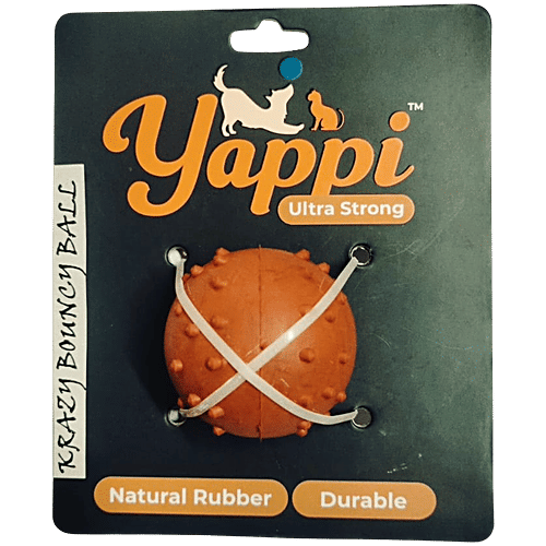 Buy Yappi Krazy Bouncy Ball Chew Toy Online at Best Price of Rs 450 ...