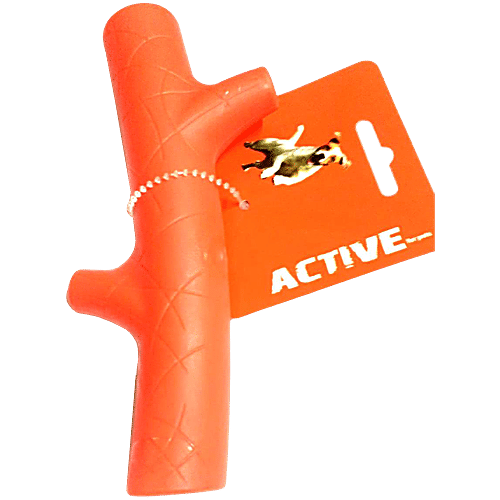Buy Active Nylon Chew Toy - Twig Online at Best Price of Rs 430 - bigbasket